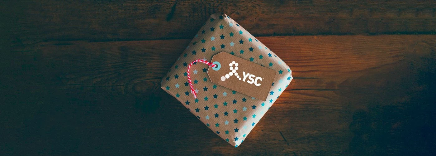 Newly Diagnosed Breast Cancer Holiday Survival Guide Young Adults